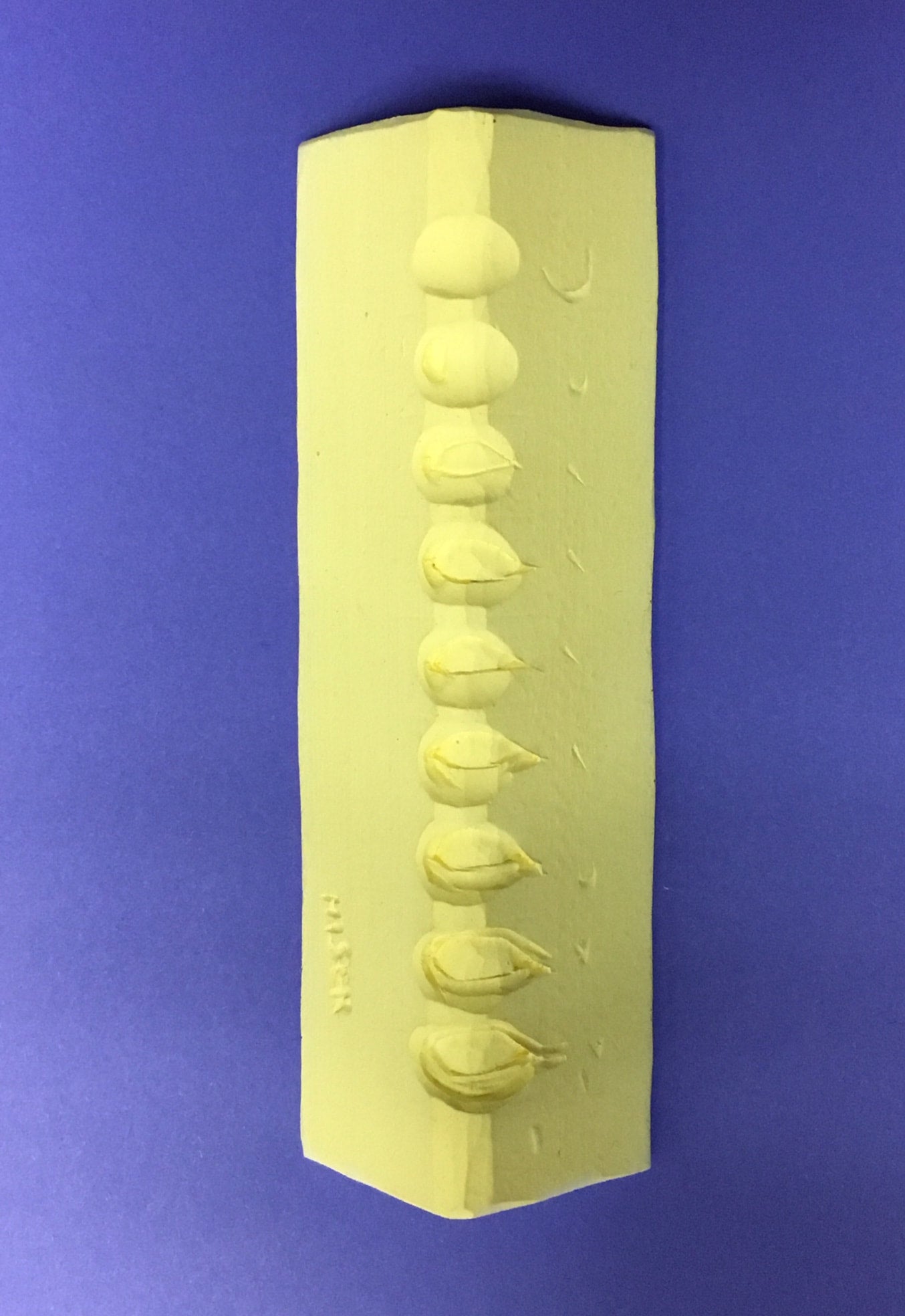 Eye Study Stick - Step by Step guide on how to do an eye. Comes with ...